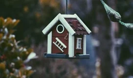 Geste commercial : définition, avantages et montant