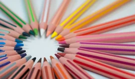 SA ou SAS : comment choisir